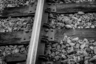 Natures Views Photography: Dunn Nc on a Deary Day