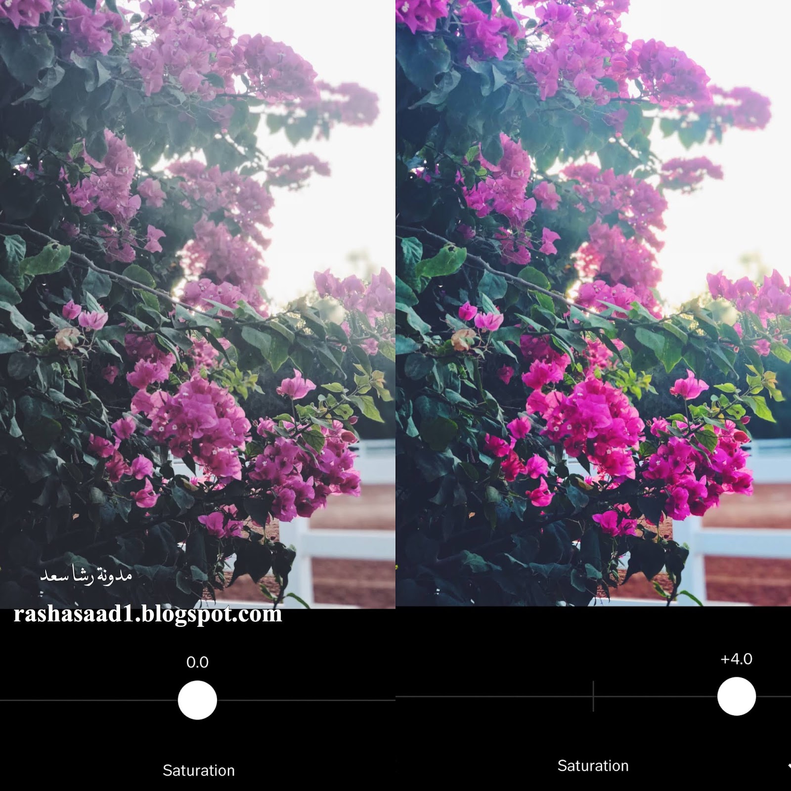 نظرية الألوان Color Theory - Rasha Saad