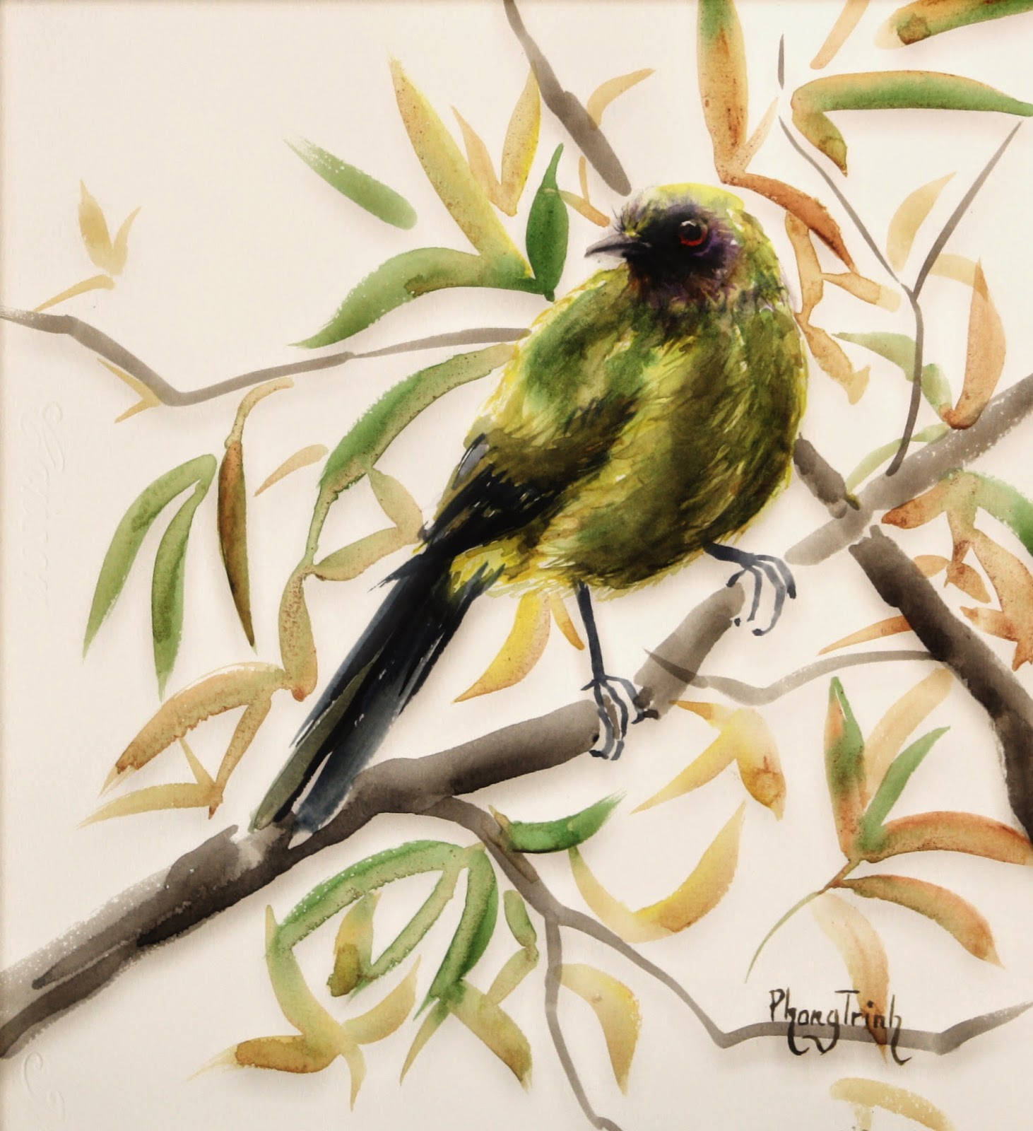 Phong Trinh Watercolors: NZ BELLBIRD, Watercolor Painting and Drawing Birds