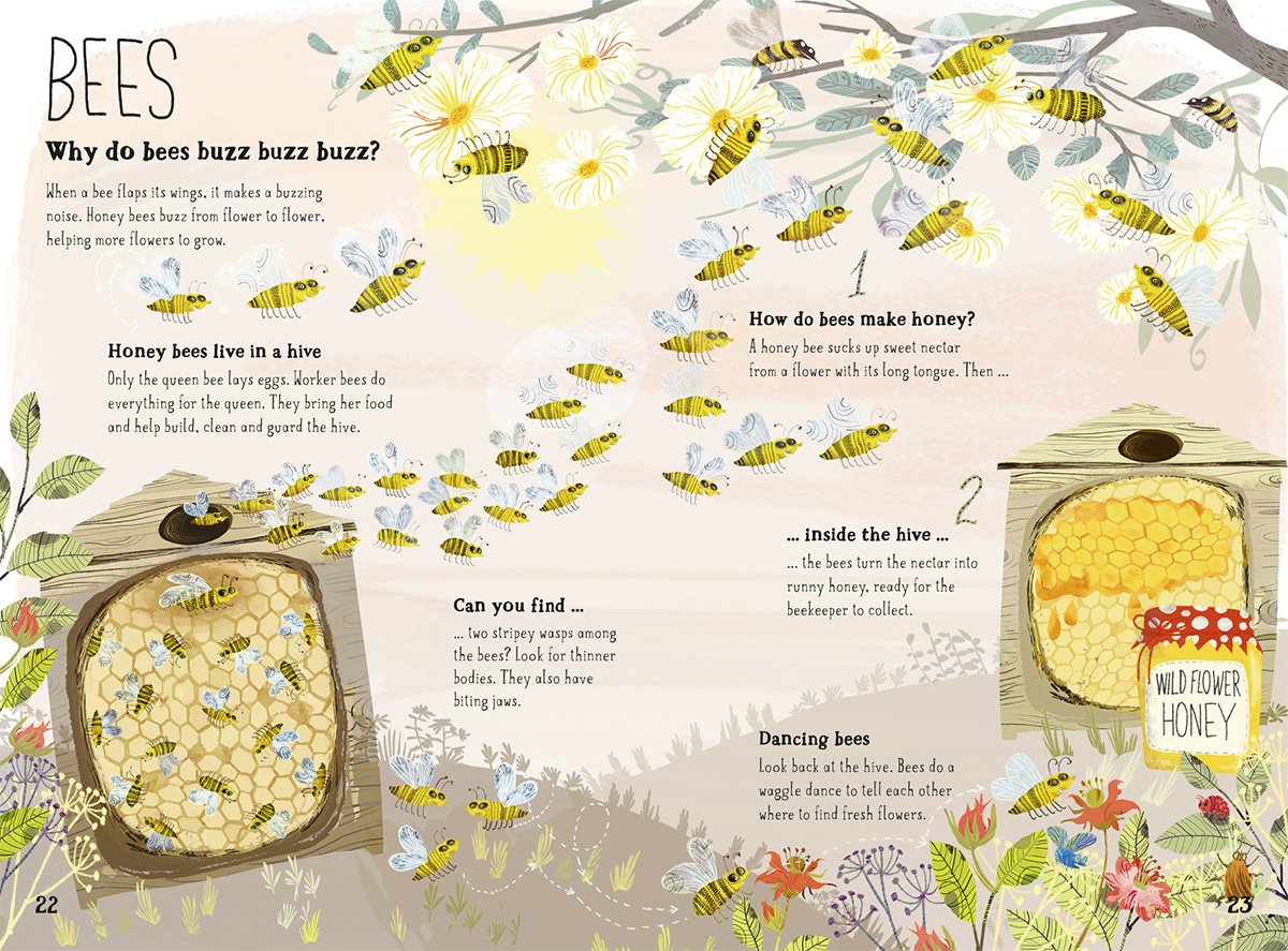 The Big Book of Bugs by Yuval Zommer and Barbara Taylor (Thames and Hudson)