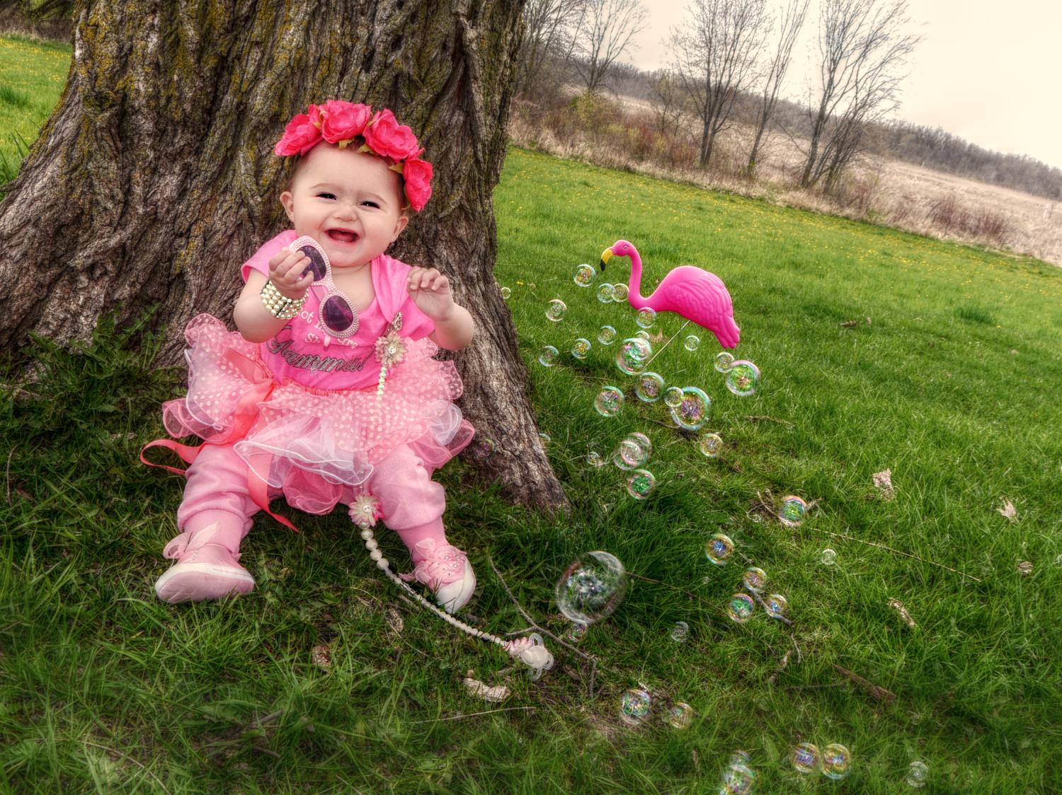 I Heart Violet: Sterling and Violet ~Flamingo in the park 5 3 16