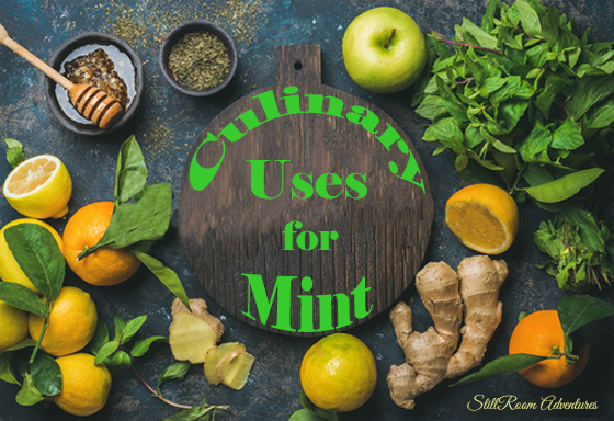 Culinary Uses for Mint