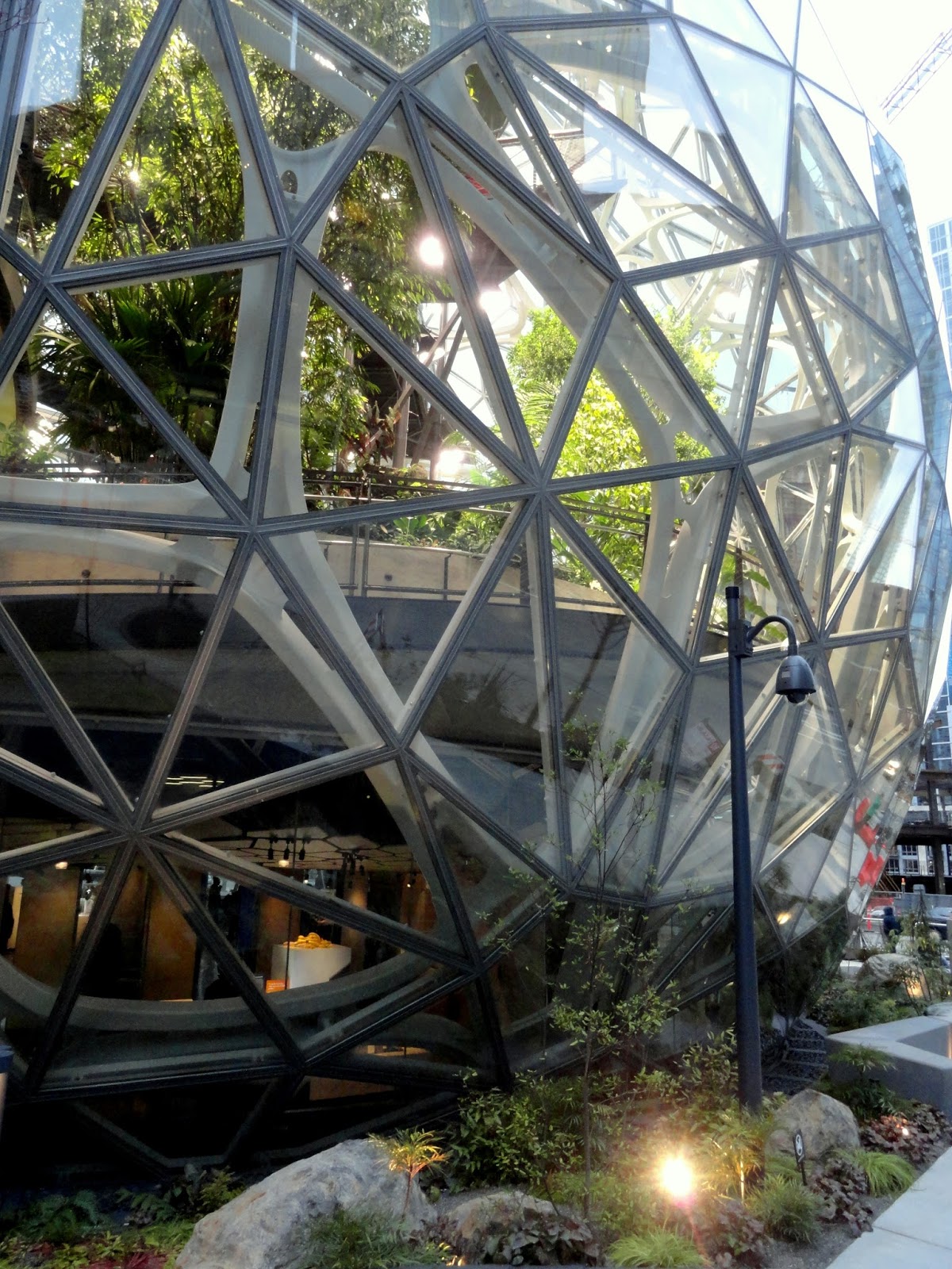 danger garden: The Understory at the Amazon Spheres, what everyone was ...