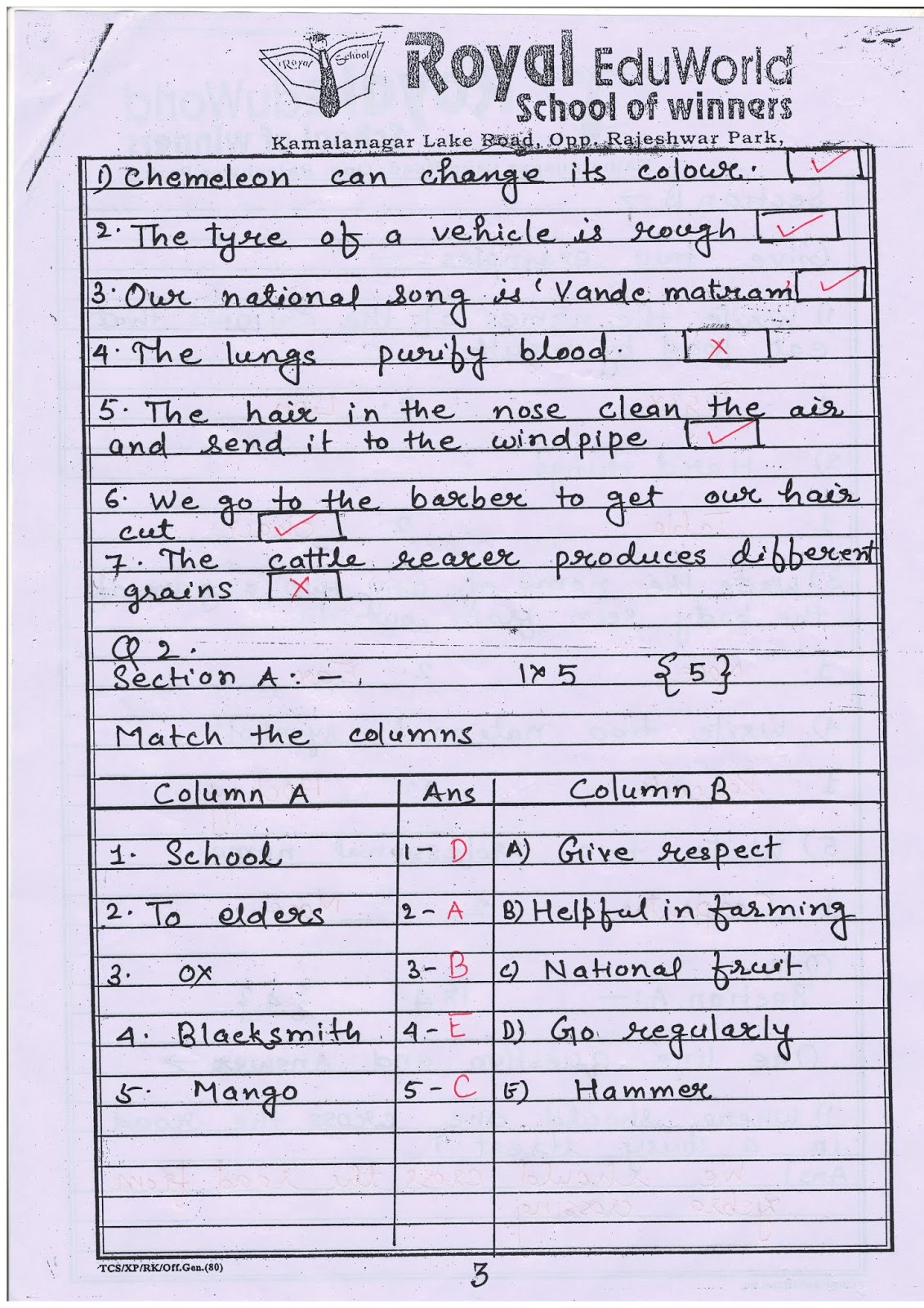 3rd Standard Final Exam Paper ENV