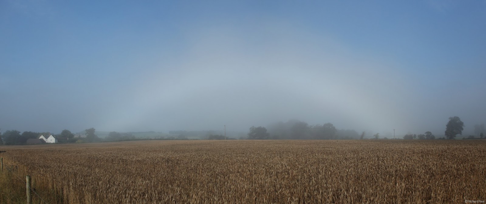 Head in the Clouds: 101: Clouds IV