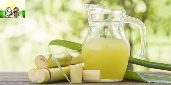 Hebat, Ternyata Ini 6 Manfaat Tebu Bagi Tubuh Kita