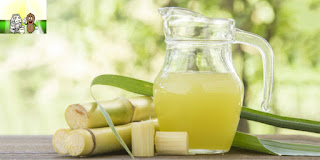 Hebat, Ternyata Ini 6 Manfaat Tebu Bagi Tubuh Kita