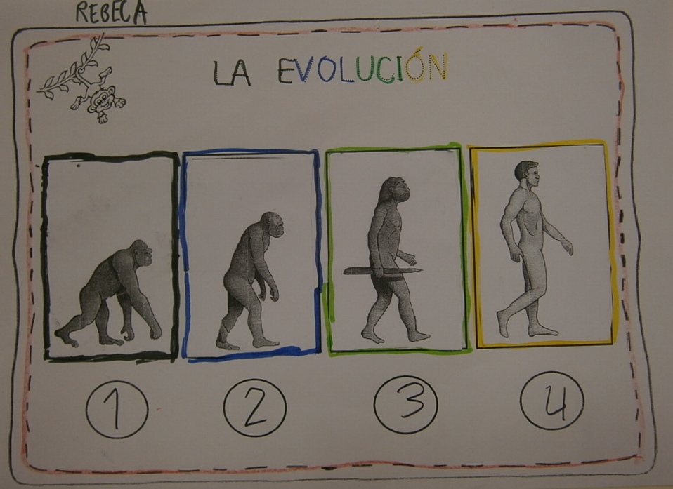 LA CLASE DE MIREN: mis experiencias en el aula: PROYECTO LOS MONOS: LA ...