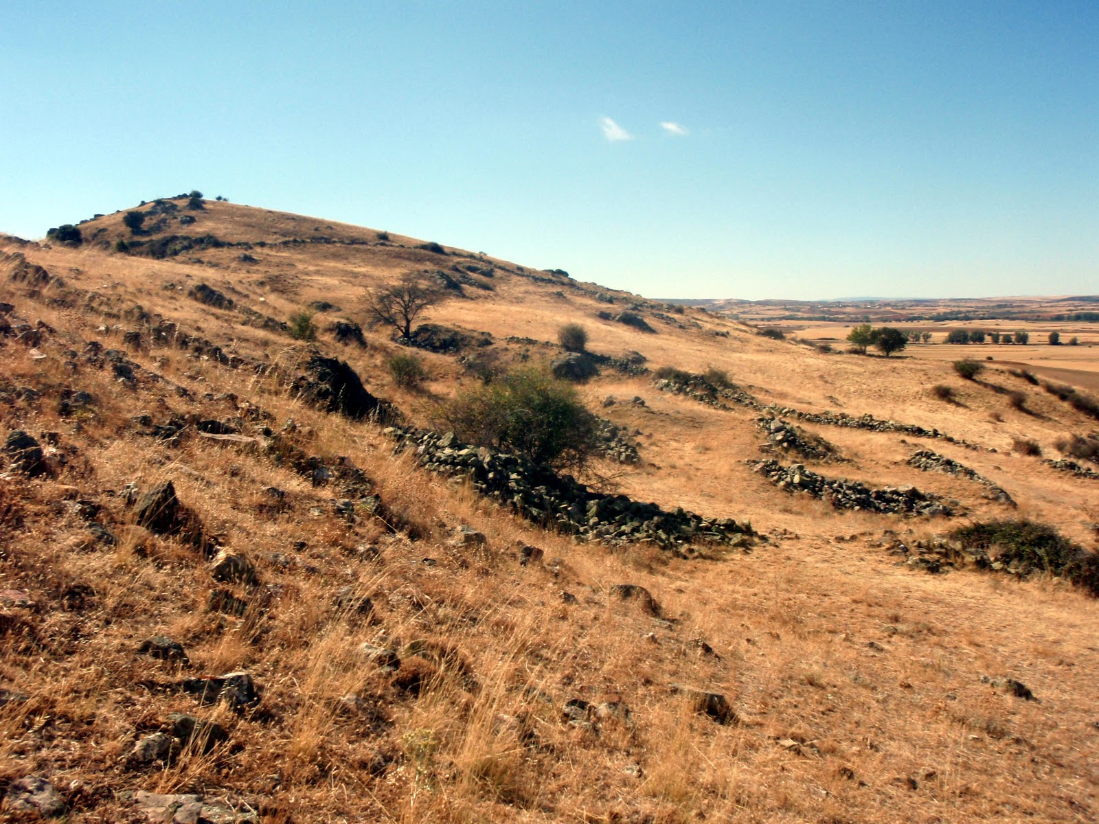 El bosque esclerófilo mediterráneo. Sierra del Peco (Zaragoza)