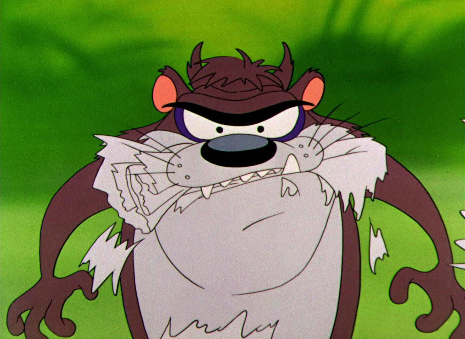 Bedevilled Rabbit - cartoon characters