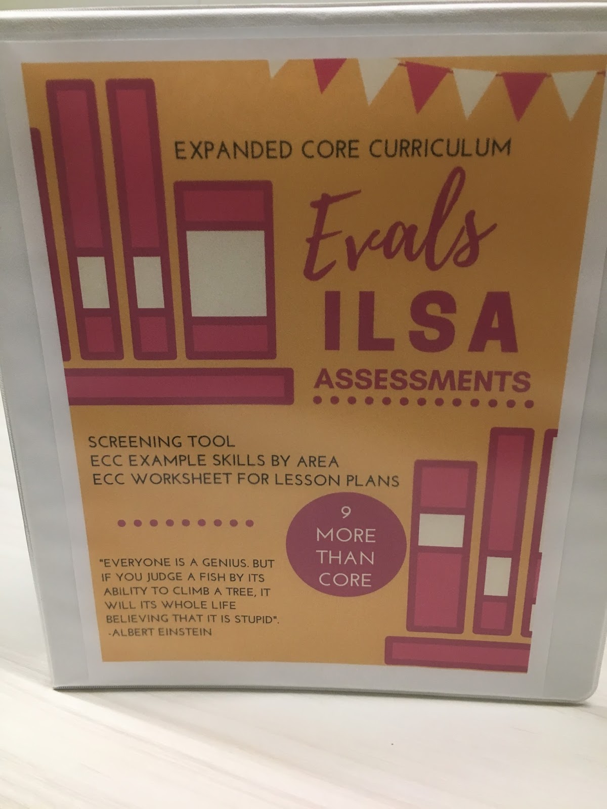 the independent little bee...: Make Your Own ECC Skills/Assessment Binder