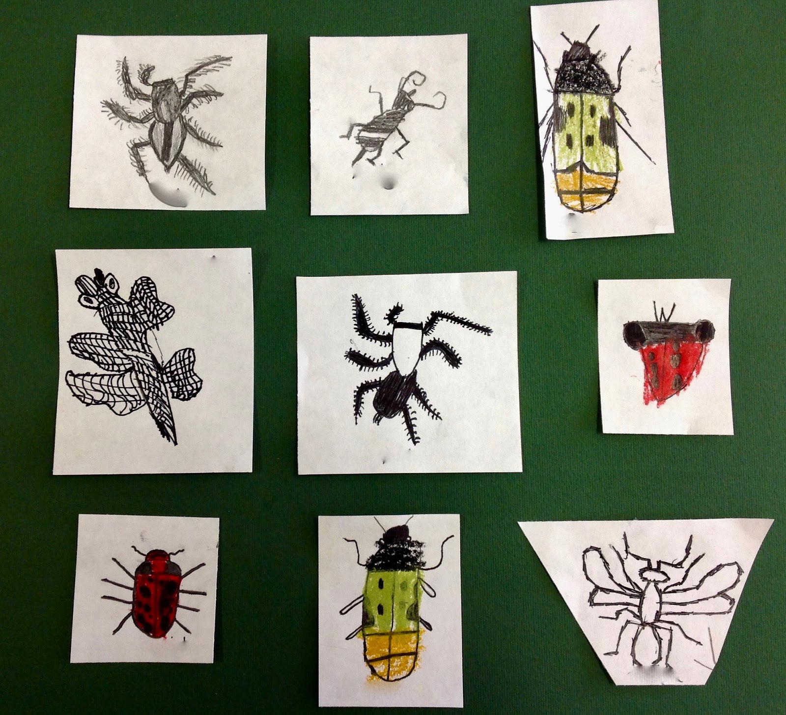 TNPS Student Artists: YEAR 2 INSECT DRAWINGS