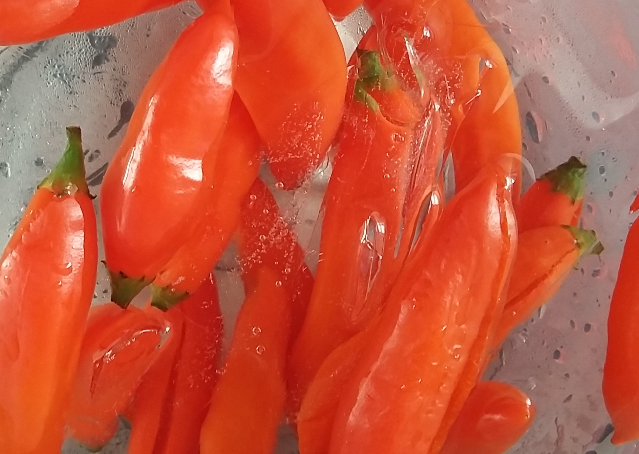 Cozinhando com retalhos: Pimenta Recheada