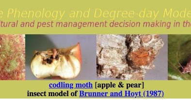 Idaho Growin': How To Predict the Date of An Insect Outbreak