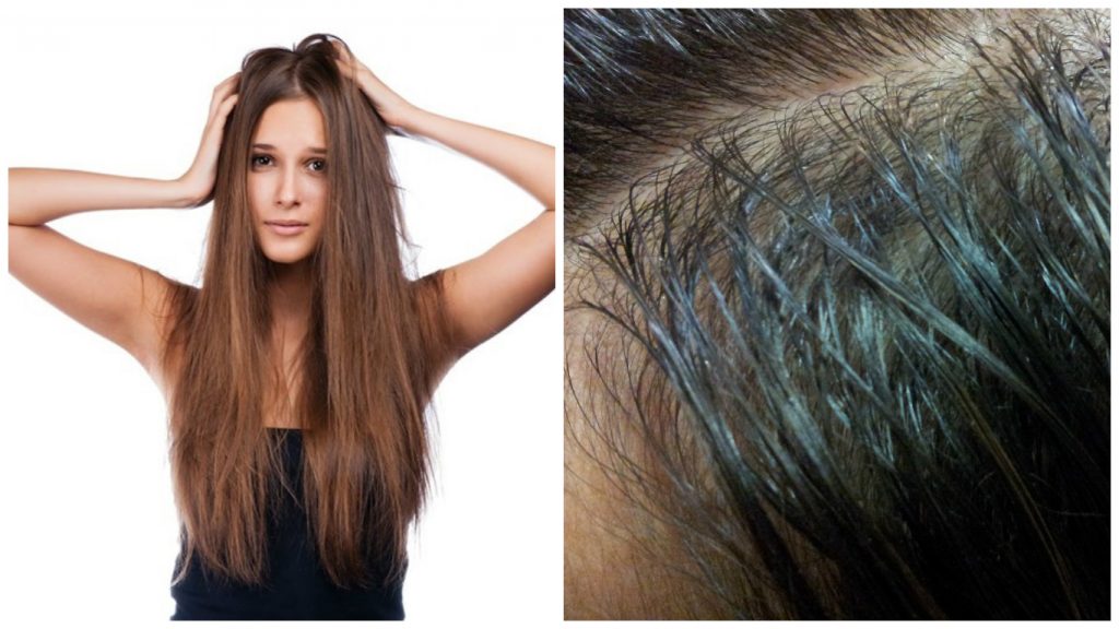 De Profesión Estilista: TIPS PARA QUE TU CABELLO GRASO SEA SALUDABLE