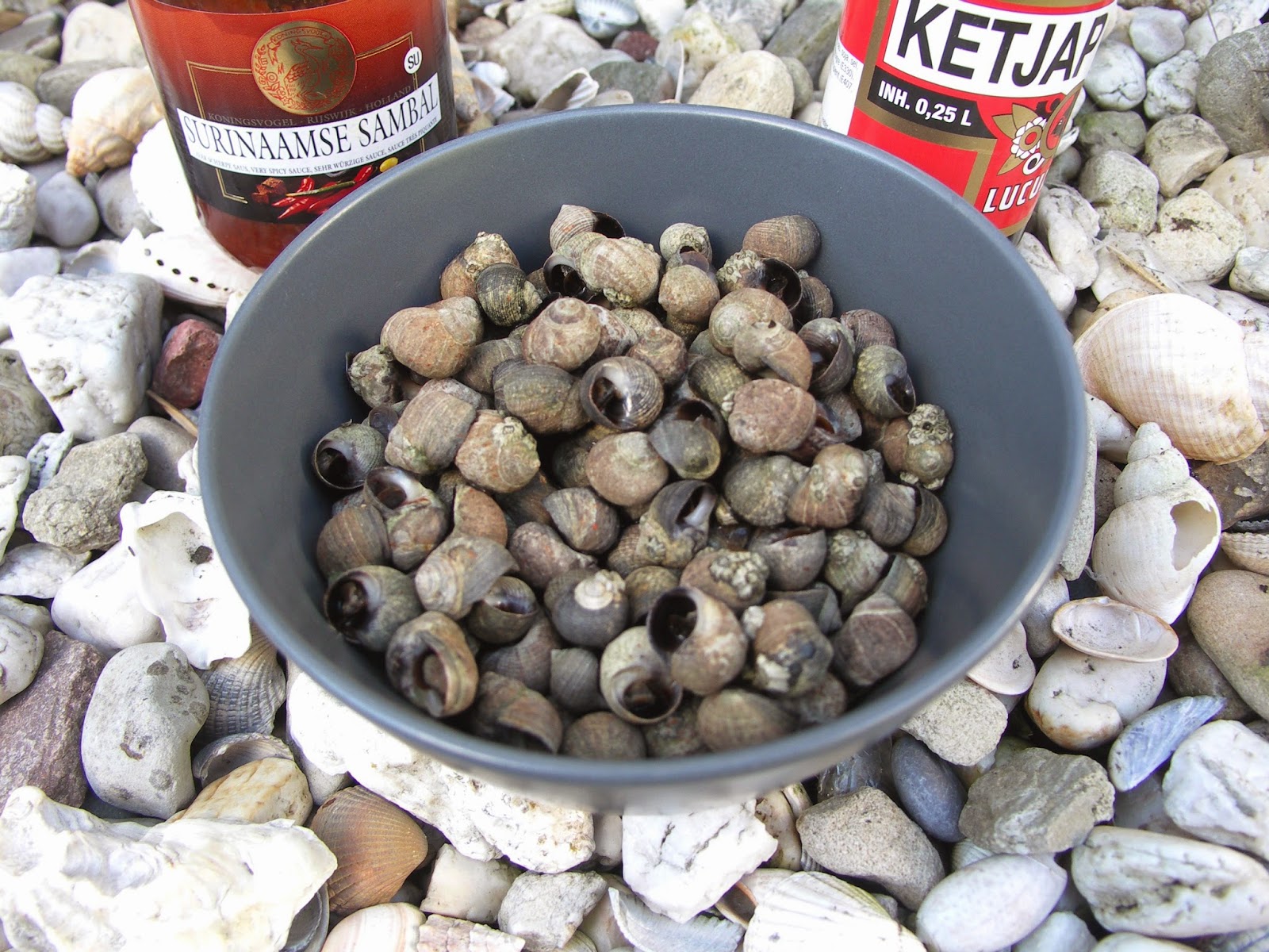 Krukels met sambal en ketjap (alikruiken) - Oesters & Uien