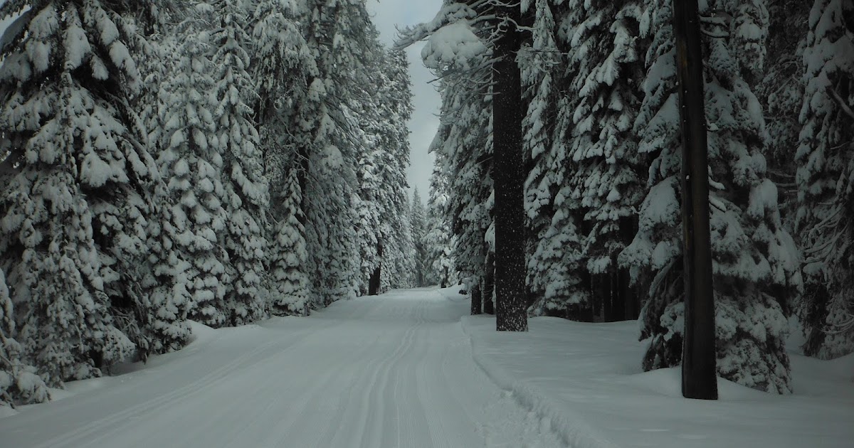 Yosemite Wilderness after a snowstorm