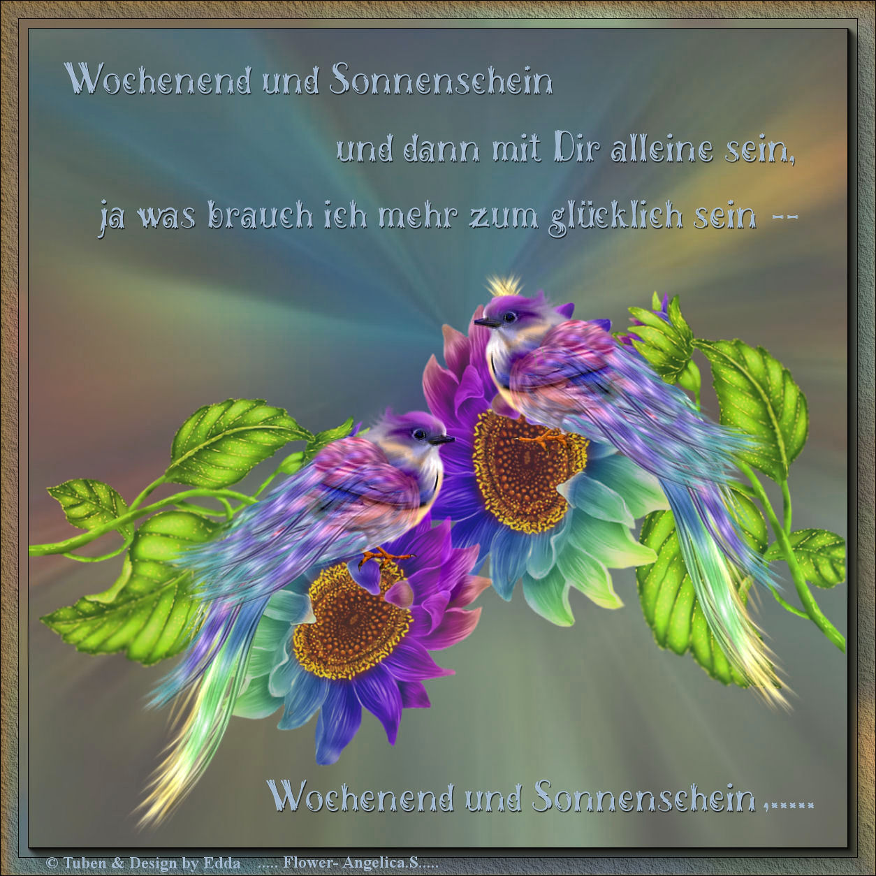 Stilvolle Wochenend Und Sonnenschein Bilder Fotos