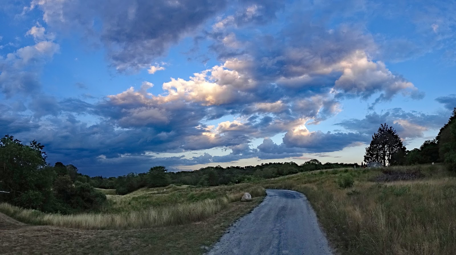 Joe's Retirement Blog: Barn Show, Holmes Farm, Manomet, Plymouth ...