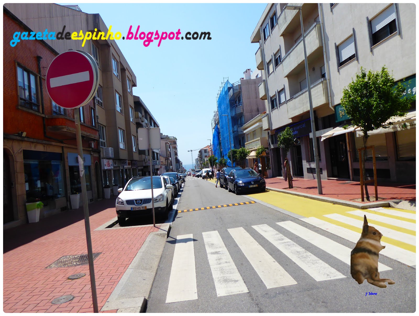 Gazeta de Espinho: Já estão colocar lombas da estrada na Rua 23