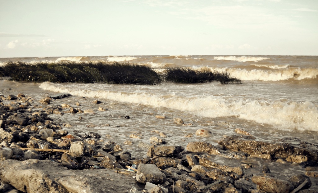 Orilla del Río de la Plata : Visto en Baires