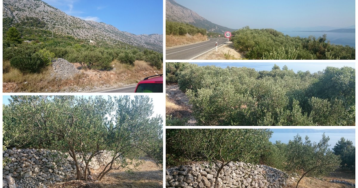 Boružėlių kelionės per pievas: Dubrovnikas. (Kroatija 2015, VI dalis)