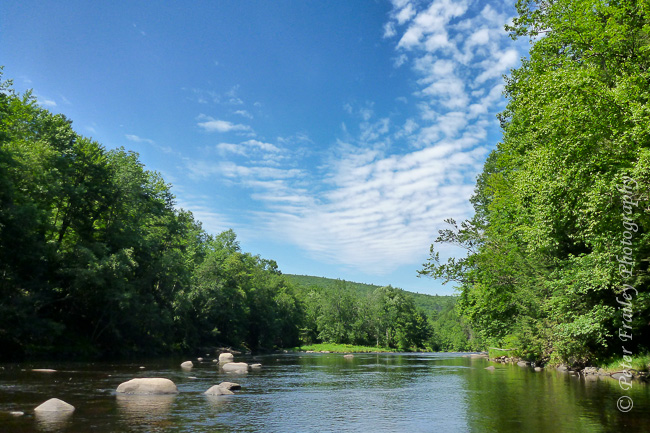 Fishing With Flies :: Blog: Beautiful weather along the Millers River ...
