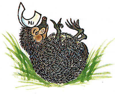 A thing of beauty is a joy forever: Mance Post