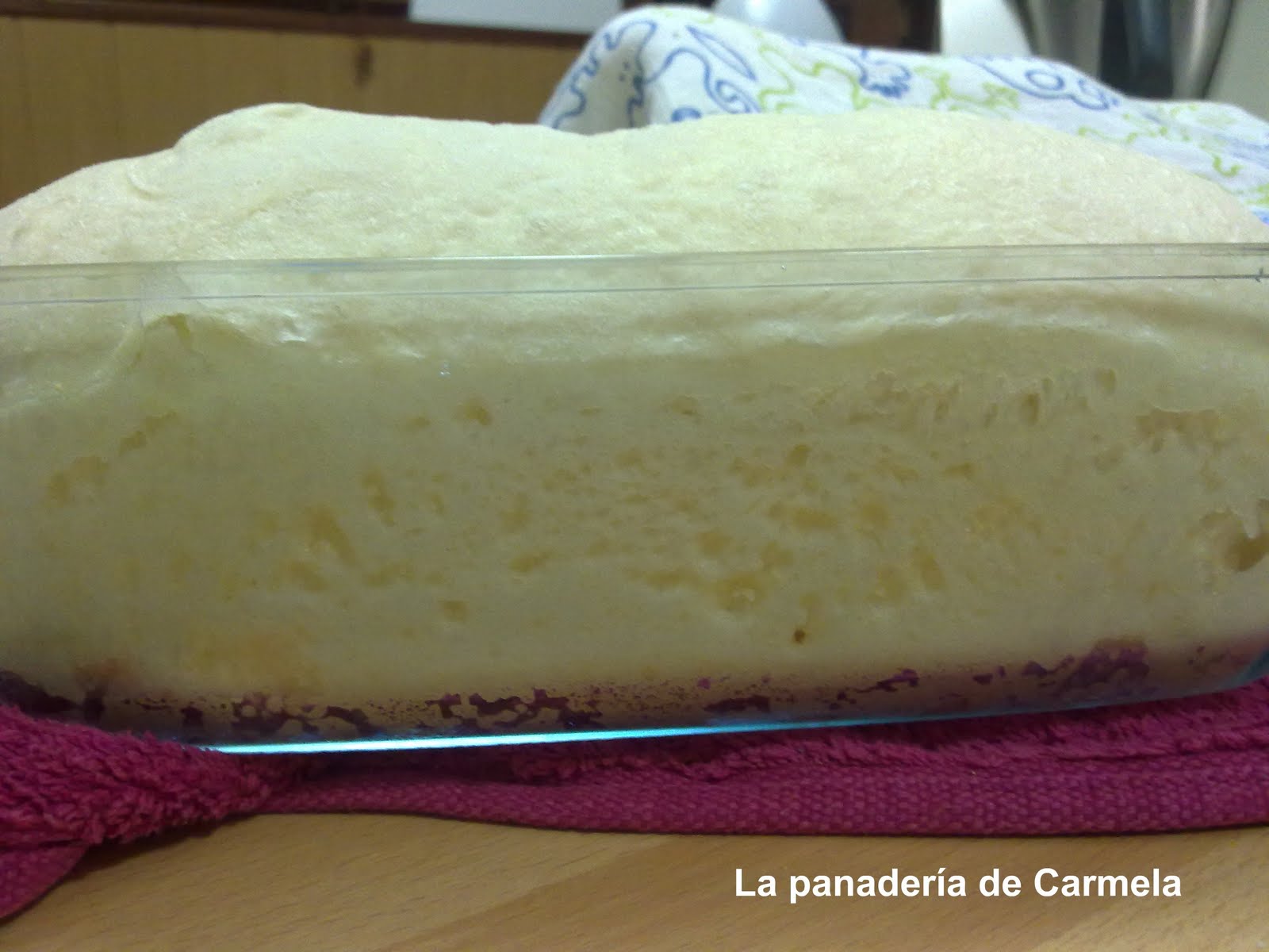 LA PANADERÍA DE CARMELA: TUTORIAL Nº 5: PAN DE MOLDE EN MICROONDAS EN 7 ...