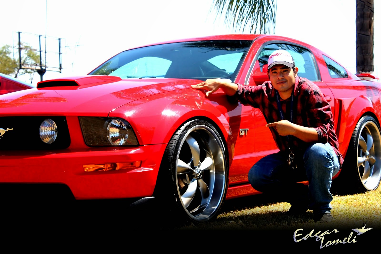 DISEÑO -CREACIÓN - RESTAURACIÓN COLIMA MEX::::::.......: PANEL KICKER ...