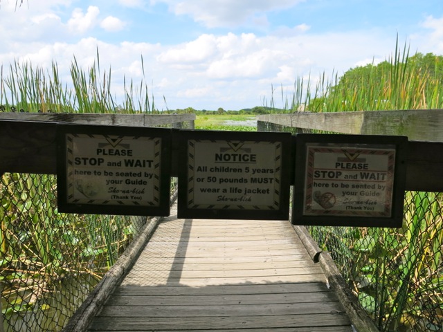 Another American Adventure: The Swamp Water Cafe and Billie Swamp Safari