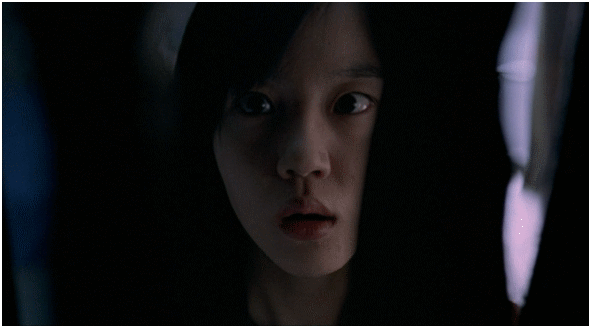 Screen Catharsis- Movie Reviews and Analysis: Deux Soeurs, Kim Jee-Woon, 2003