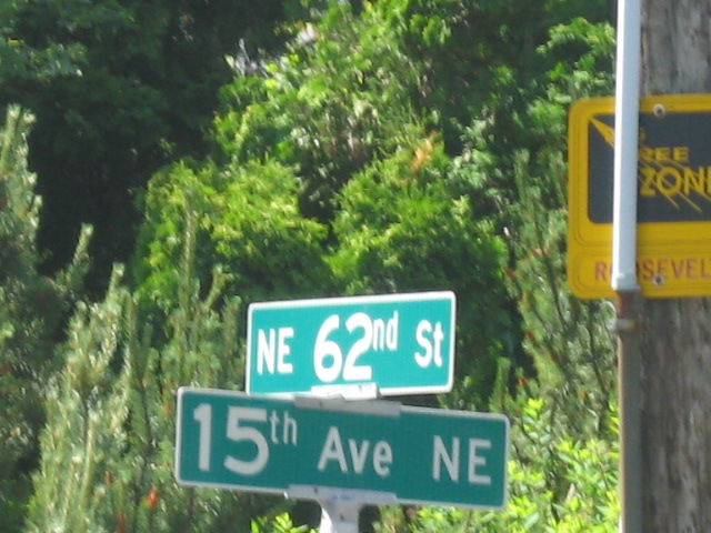 Drawing with Nature: June 2011: Ravenna Park Ravine drawings, Seattle ...