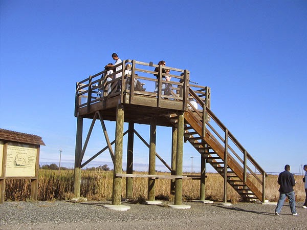 How to Build a Three-Step Platform: How to Build a Three-Step Platform