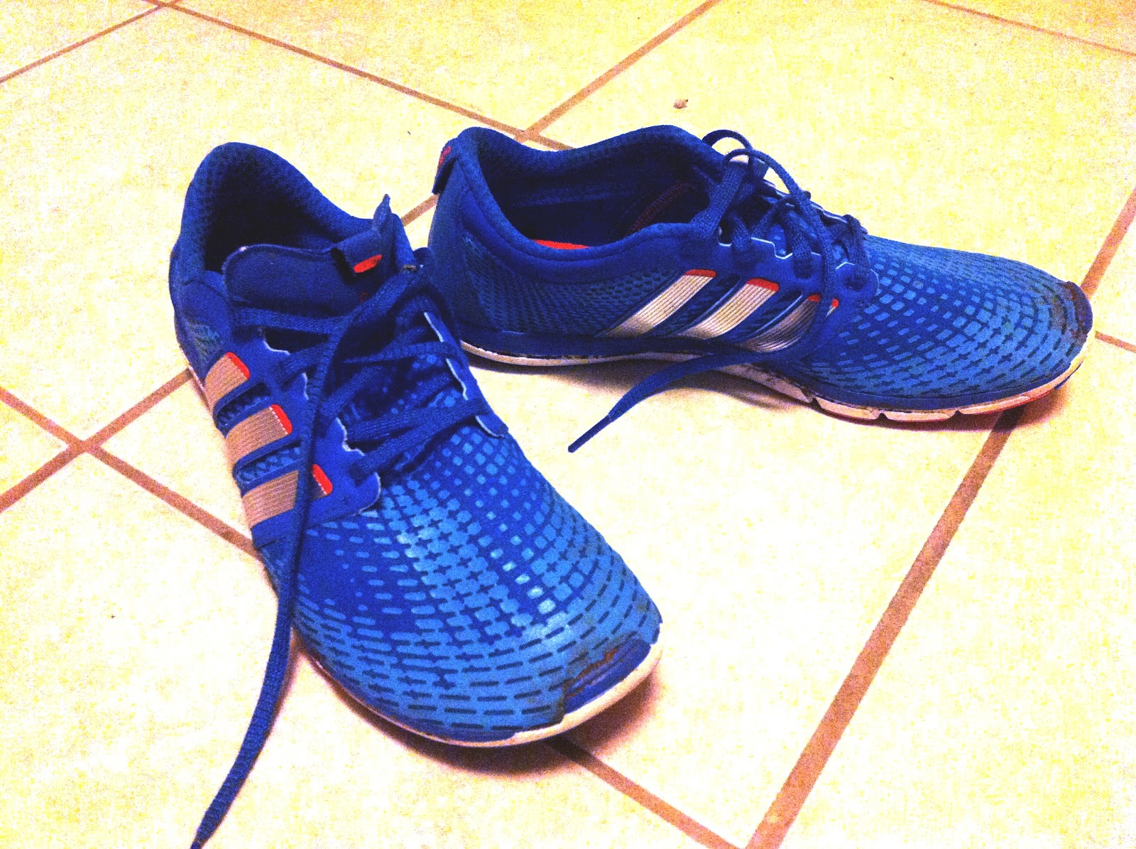 Barefoot running Ronald: Review: Adidas Adipure Gazelle