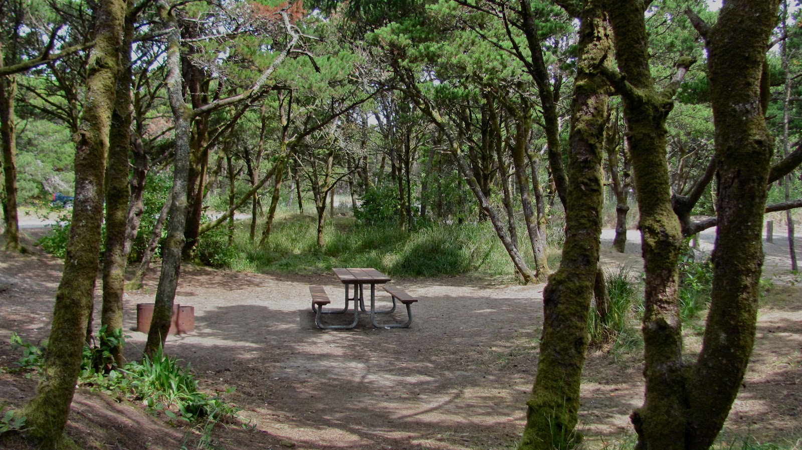 IrelandBrady - Musings To Ponder: BarView Jetty Campground, Tillamook ...