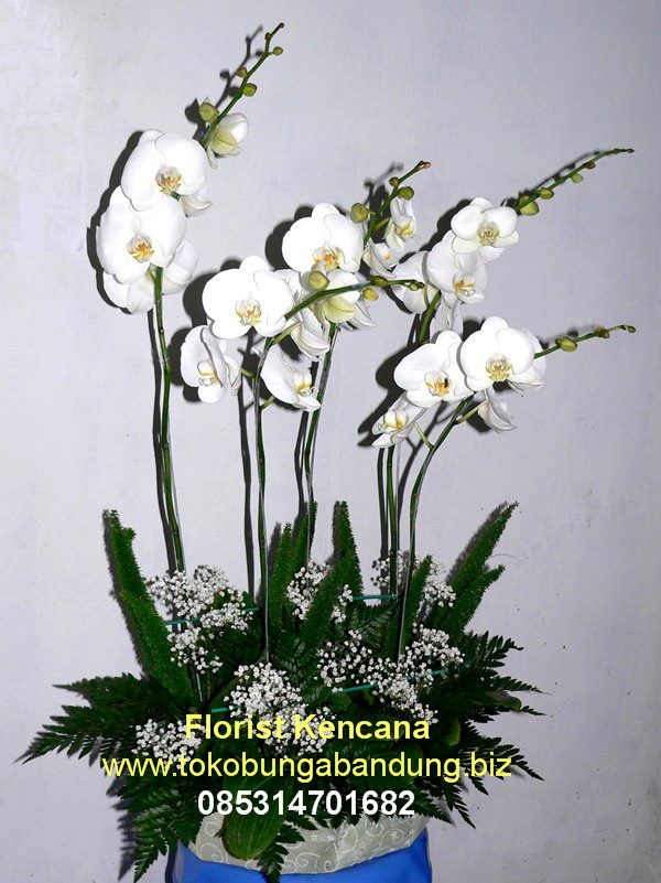 Toko Bunga Bandung Florist Kencana: Toko Karangan Bunga di Bandung