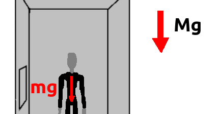 Physics 12: How does your weight change in an elevator?