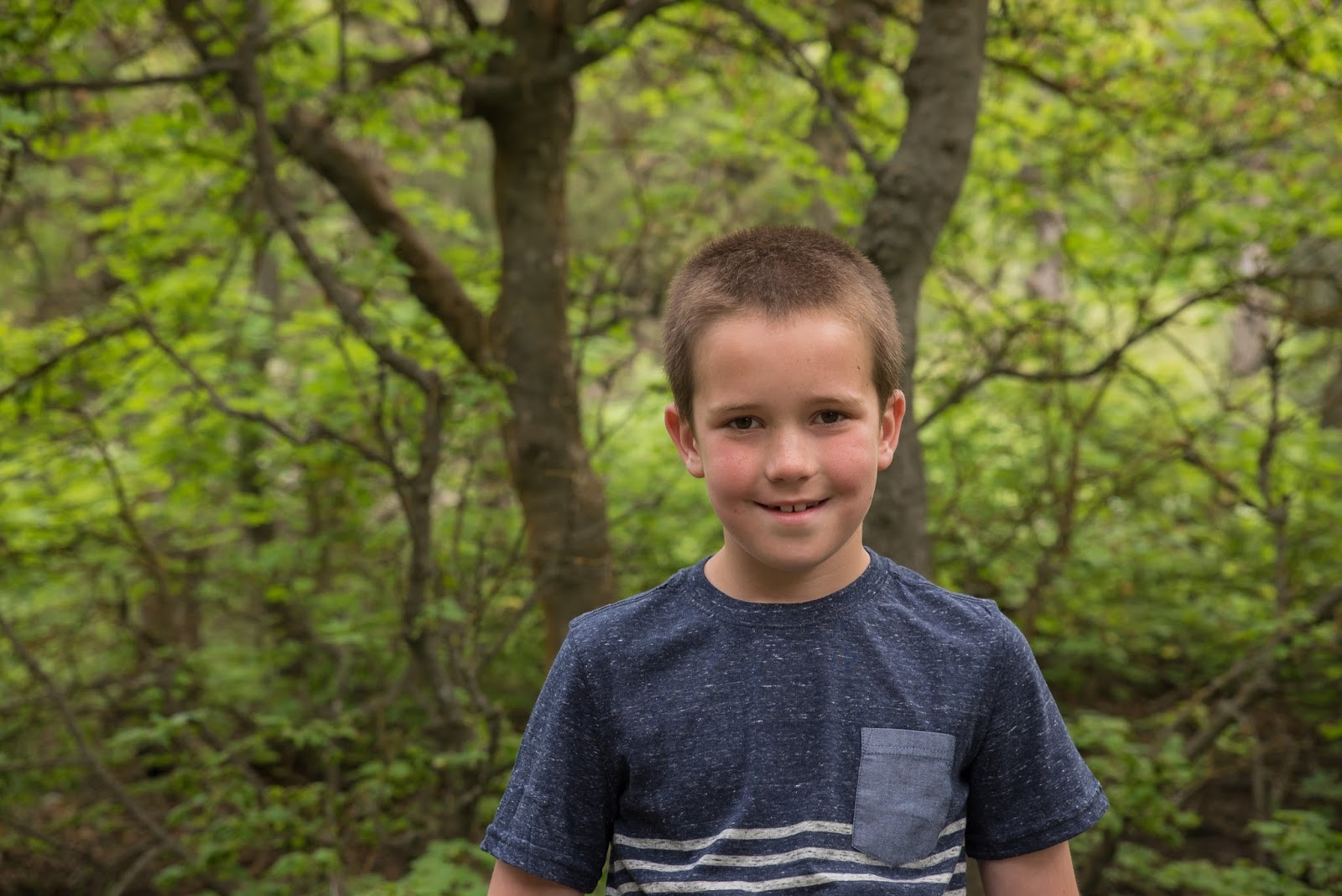 Etherington Boys | Northern Utah Childrens Photographer ~ Stacey Hansen ...