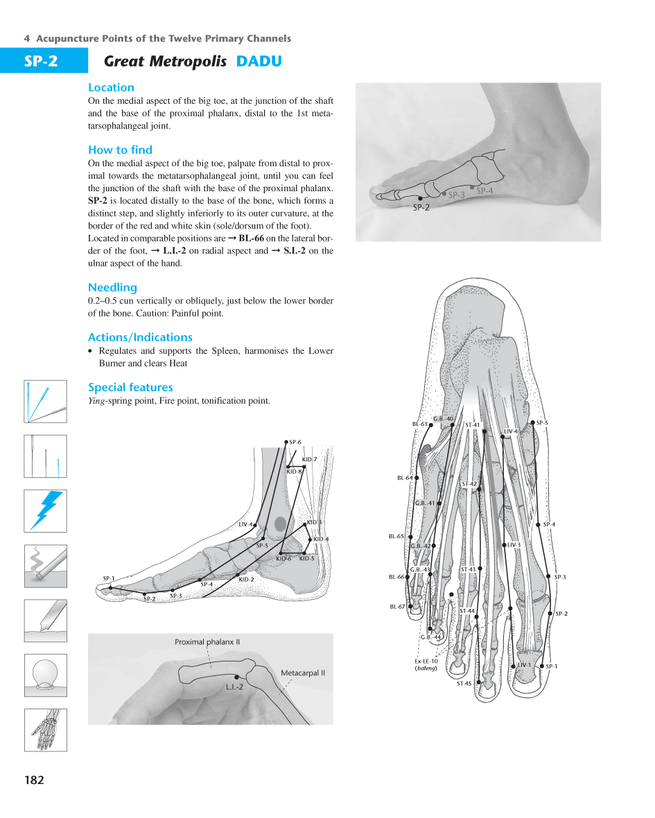 Acupuncture Masters: Acupuncture Points Database - Spleen channel