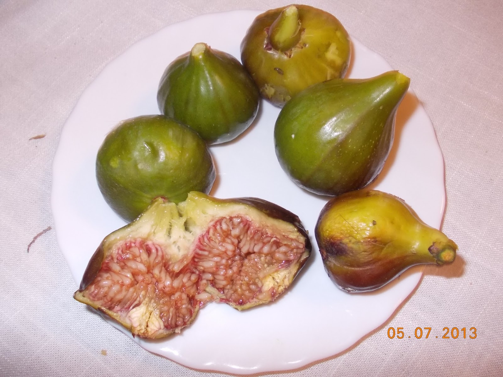 annelitreumuthblogspot.com: hautatud merikukk kapperi, oliivi ...