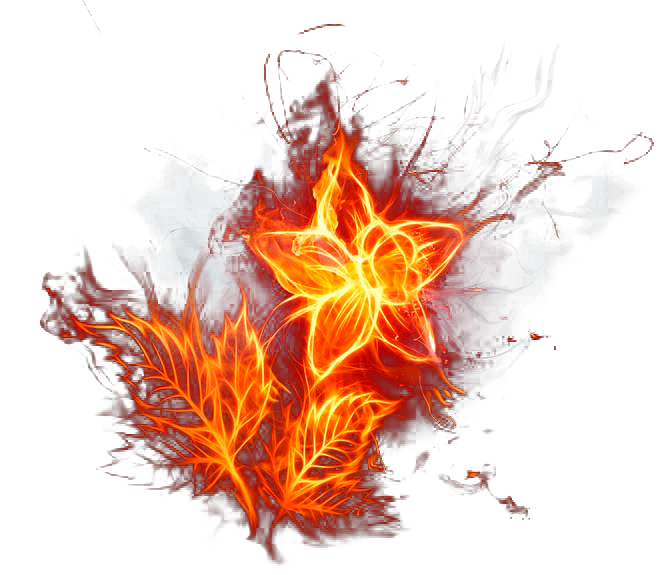 Br Designens: Render - Fogo