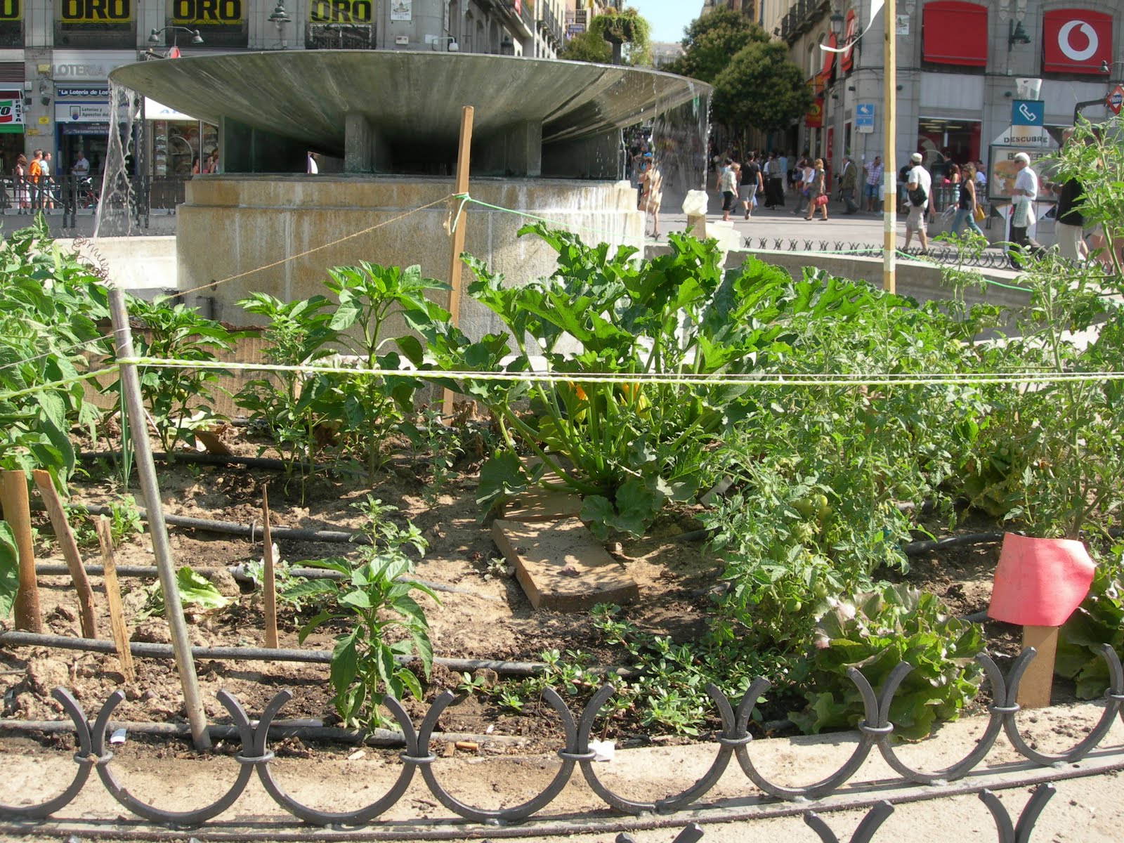Polystyrene Garden Junkie: 2011