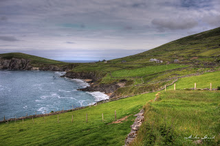 Mike Good Photography