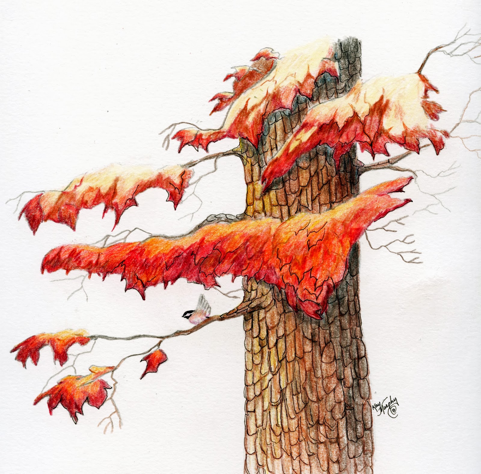 Kay Murphy's Studio Kay Murphy-Wallace:artist: January 2014