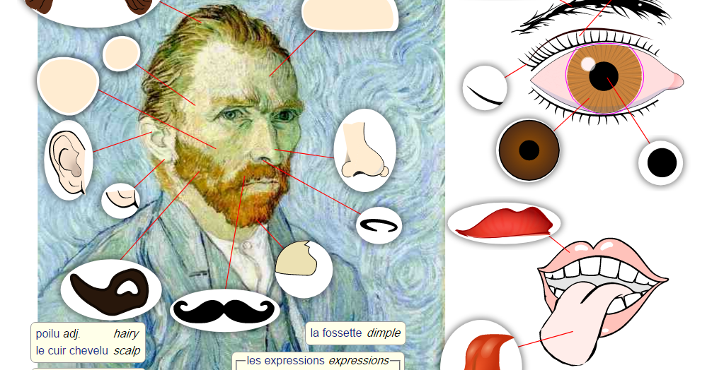 le vocabulaire français (le visage)
