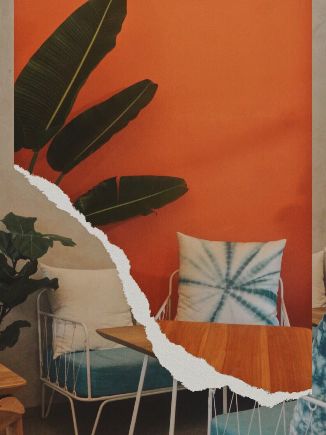 Must Visit & Taste: Kinokimi, Coffee Shop that Plays Good Songs!