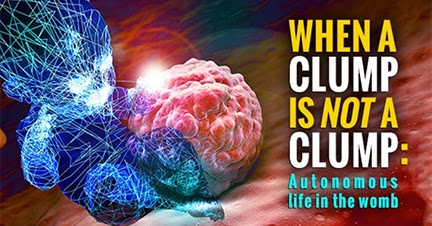 Voices for Life : When a Clump Is Not a Clump