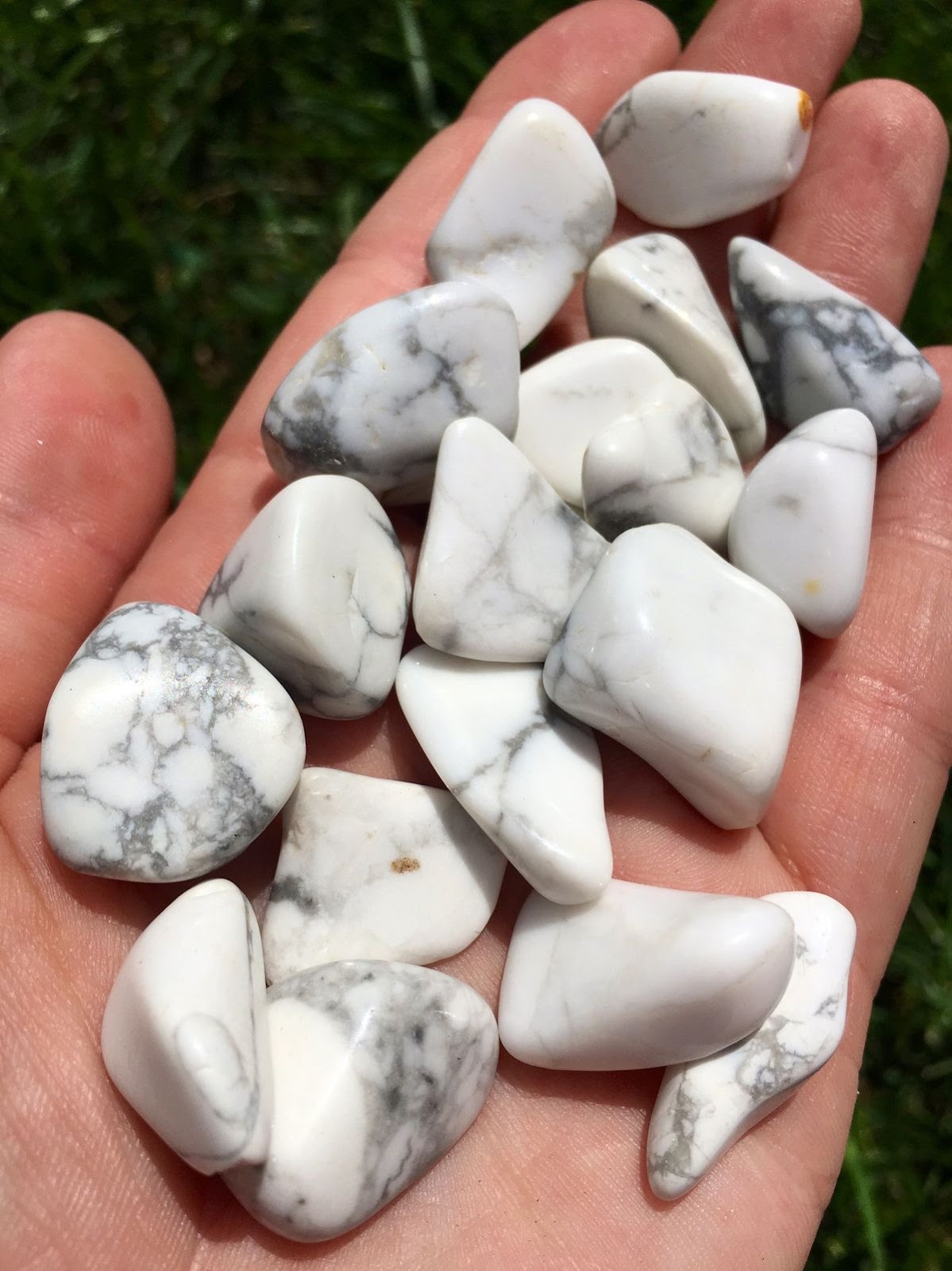 Ouro e Rochas - Fox Press™