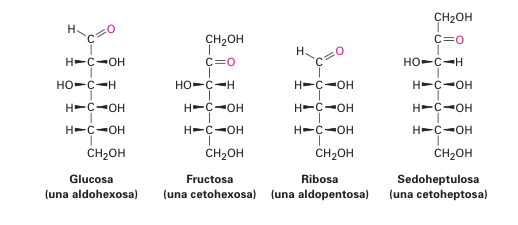 El Mundo de las Macromoléculas